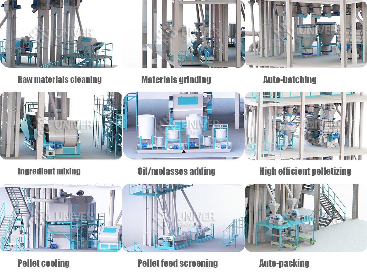 20TPH Pig Feed Production Line - UNIVER MACHINERY