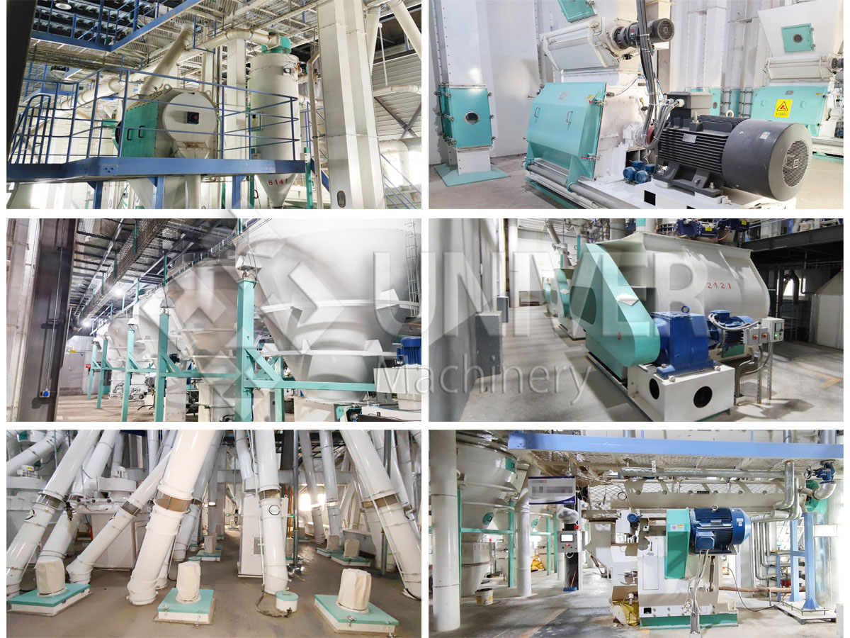 30TPH Cattle Pellet Feed Production Line - UNIVER MACHINERY